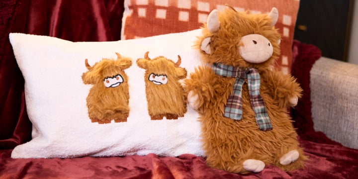 Highland Cow – Cancer Research UK