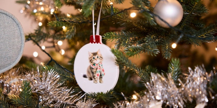 Tink the Tabby Cat Decorations, Homewares and Gifts – Cancer Research UK