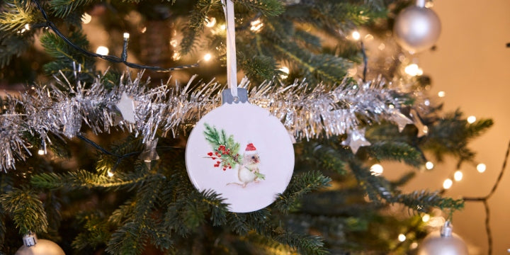 Titch the Tiny Mouse Decorations, Homewares and Gifts – Cancer Research UK