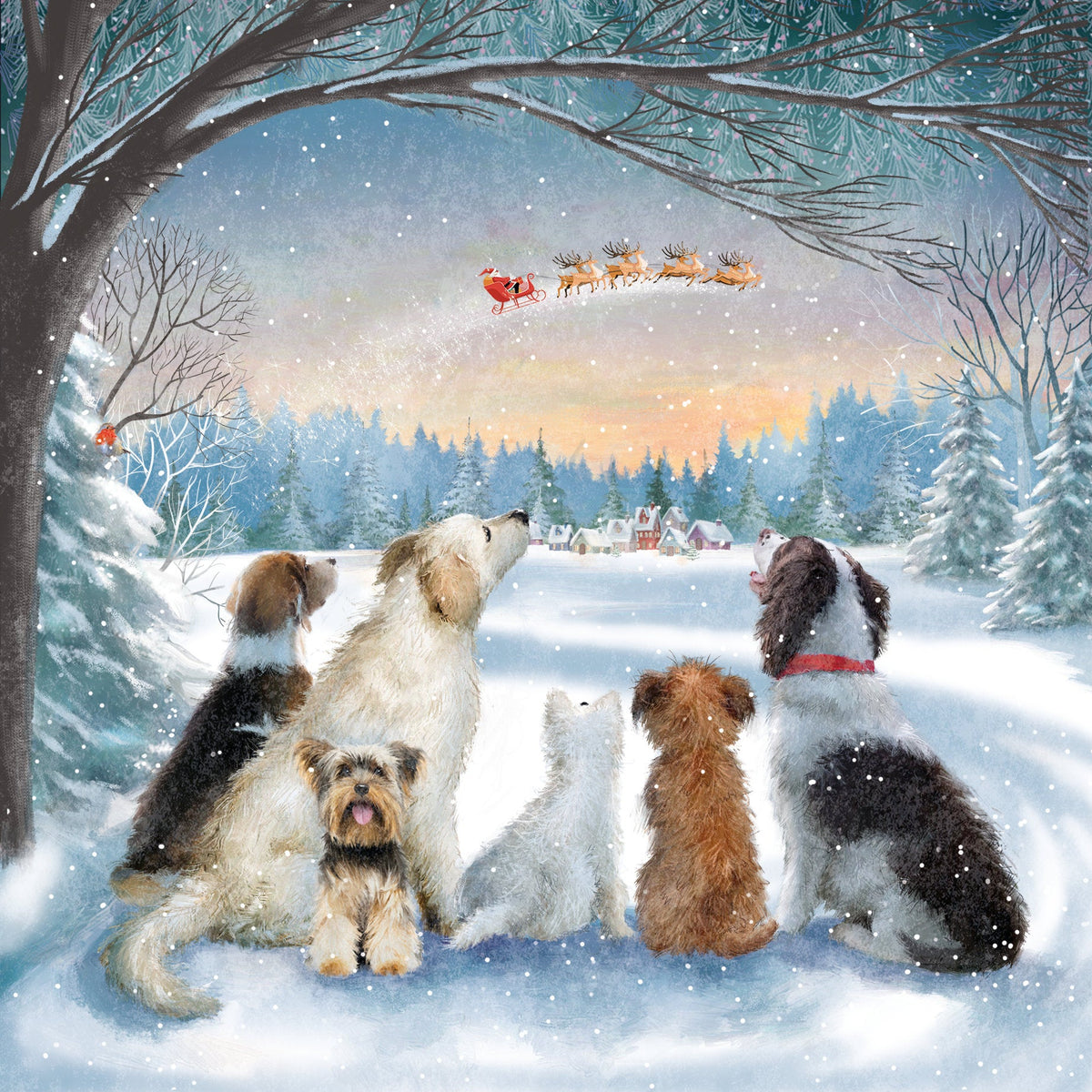 Wondrous Sight 10 Welsh Bilingual Christmas Cards – Cancer Research UK