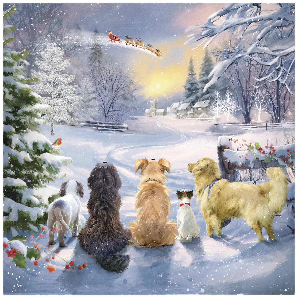 Festive Anticipation 10/20 Christmas Cards – Cancer Research UK