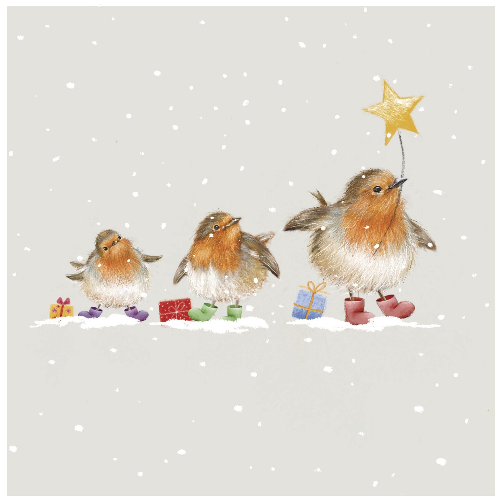 Ralph Robin & Family 10/20 Christmas Cards – Cancer Research UK