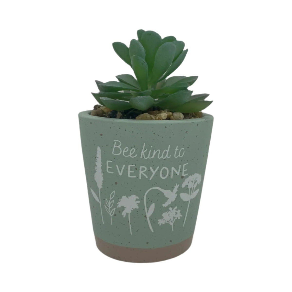 Bee Kind Artificial Succulent Plant – Cancer Research UK