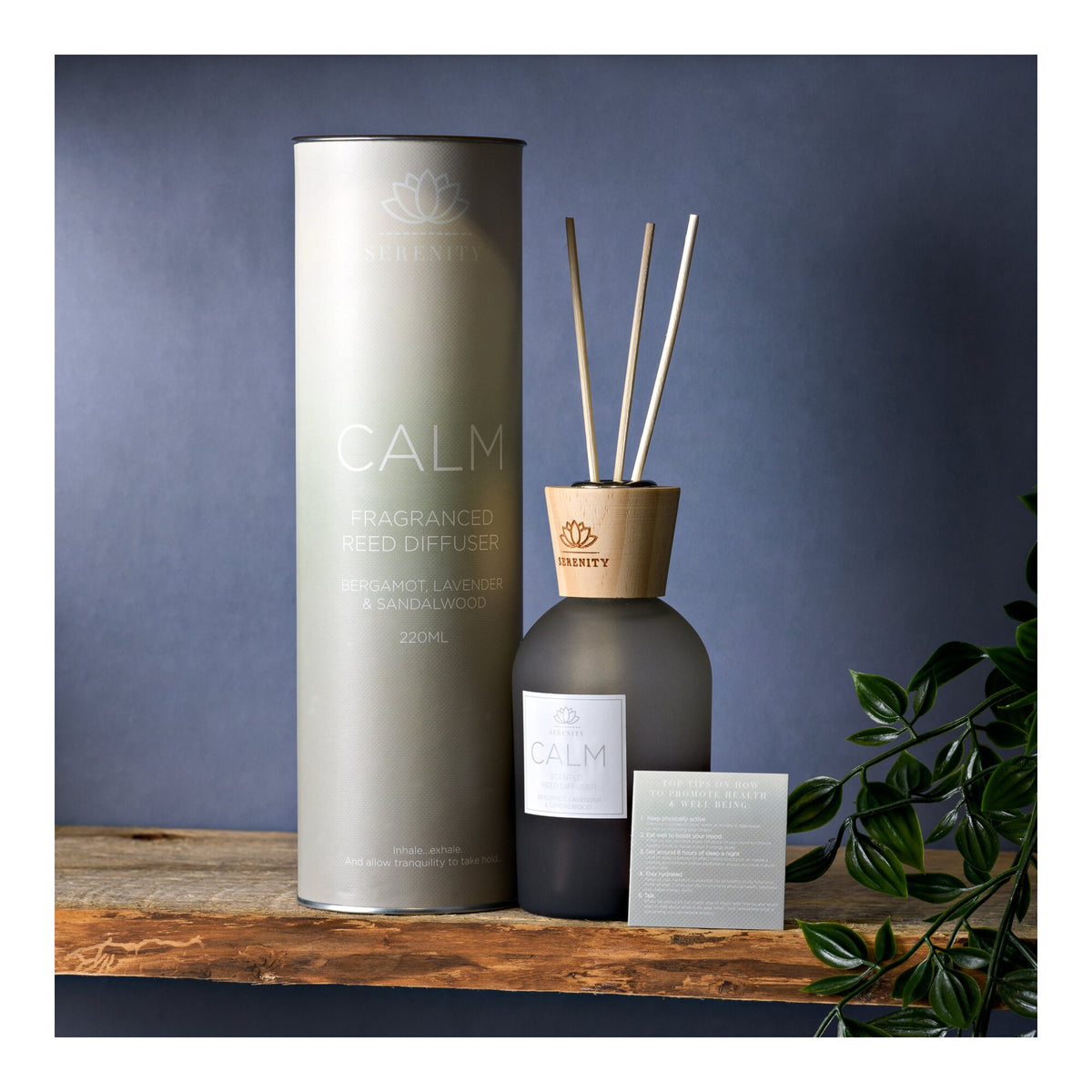 Serenity Calm Reed Diffuser - Bergamot, Lavender & Sandalwood – Cancer ...
